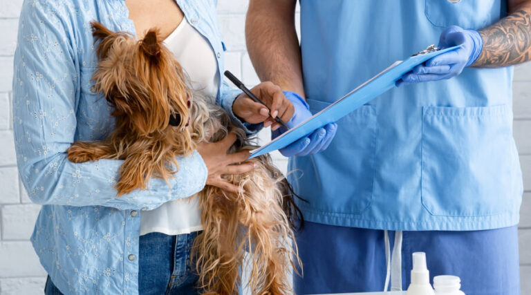 Bow Wow Meow Pet Insurance Review (2023): All You Need To Know ...